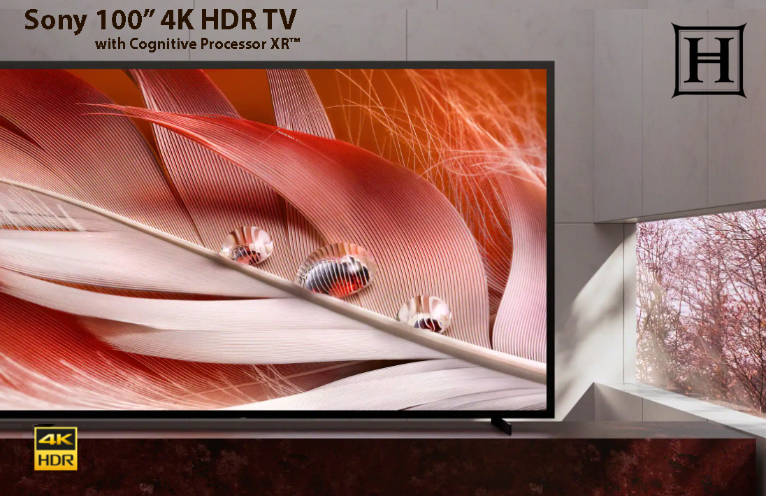 New Sony 100" TV - Haas Entertainment